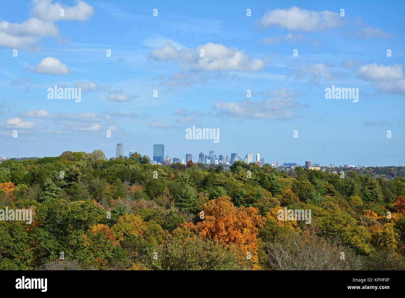 Fall Foliage and the Boston skyline seen from the Arnold Arboretum in ...