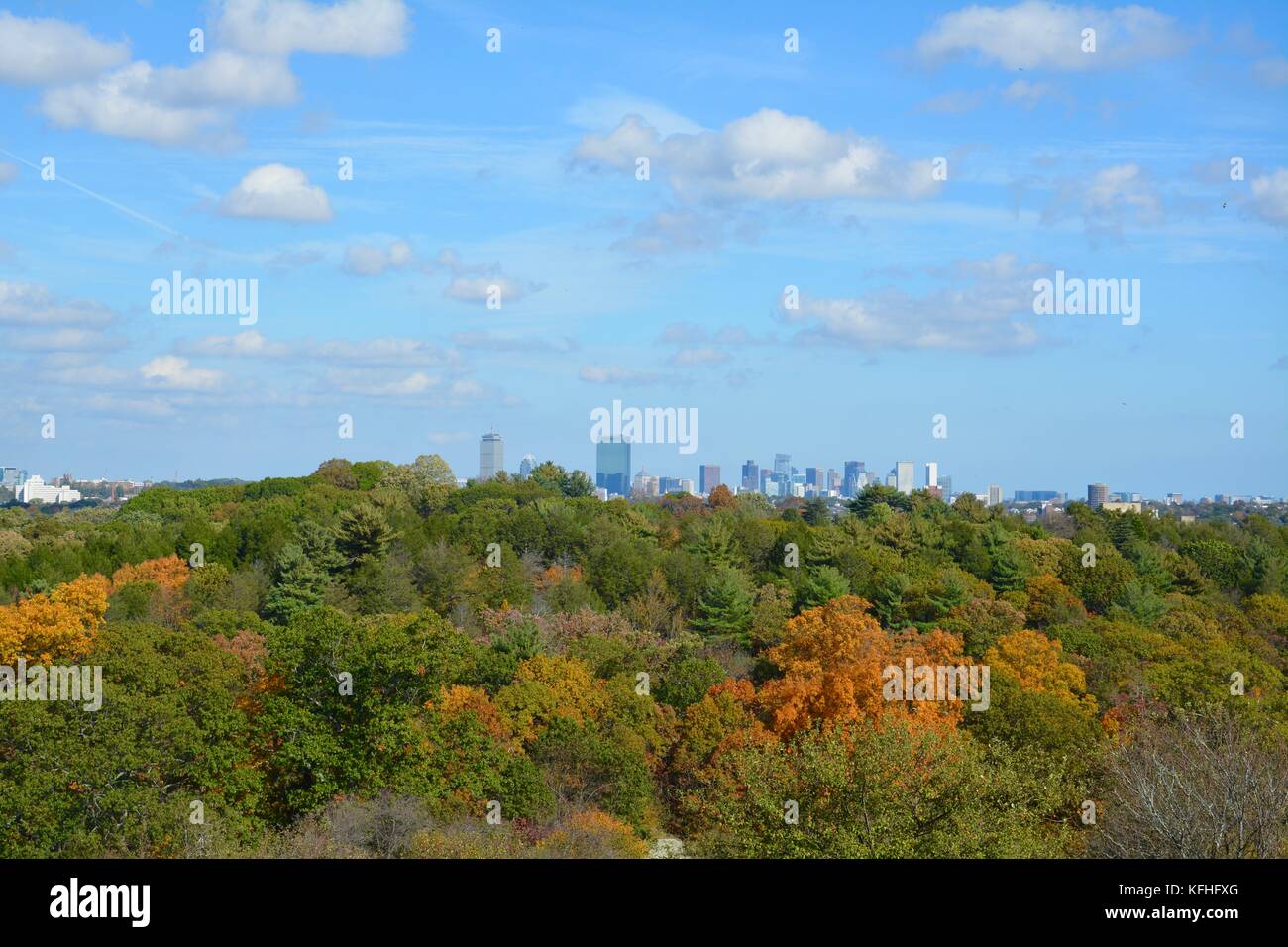 Fall Foliage and the Boston skyline seen from the Arnold Arboretum in ...