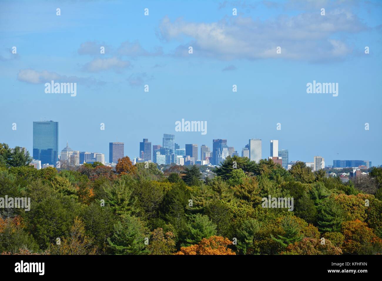 Fall Foliage and the Boston skyline seen from the Arnold Arboretum in ...