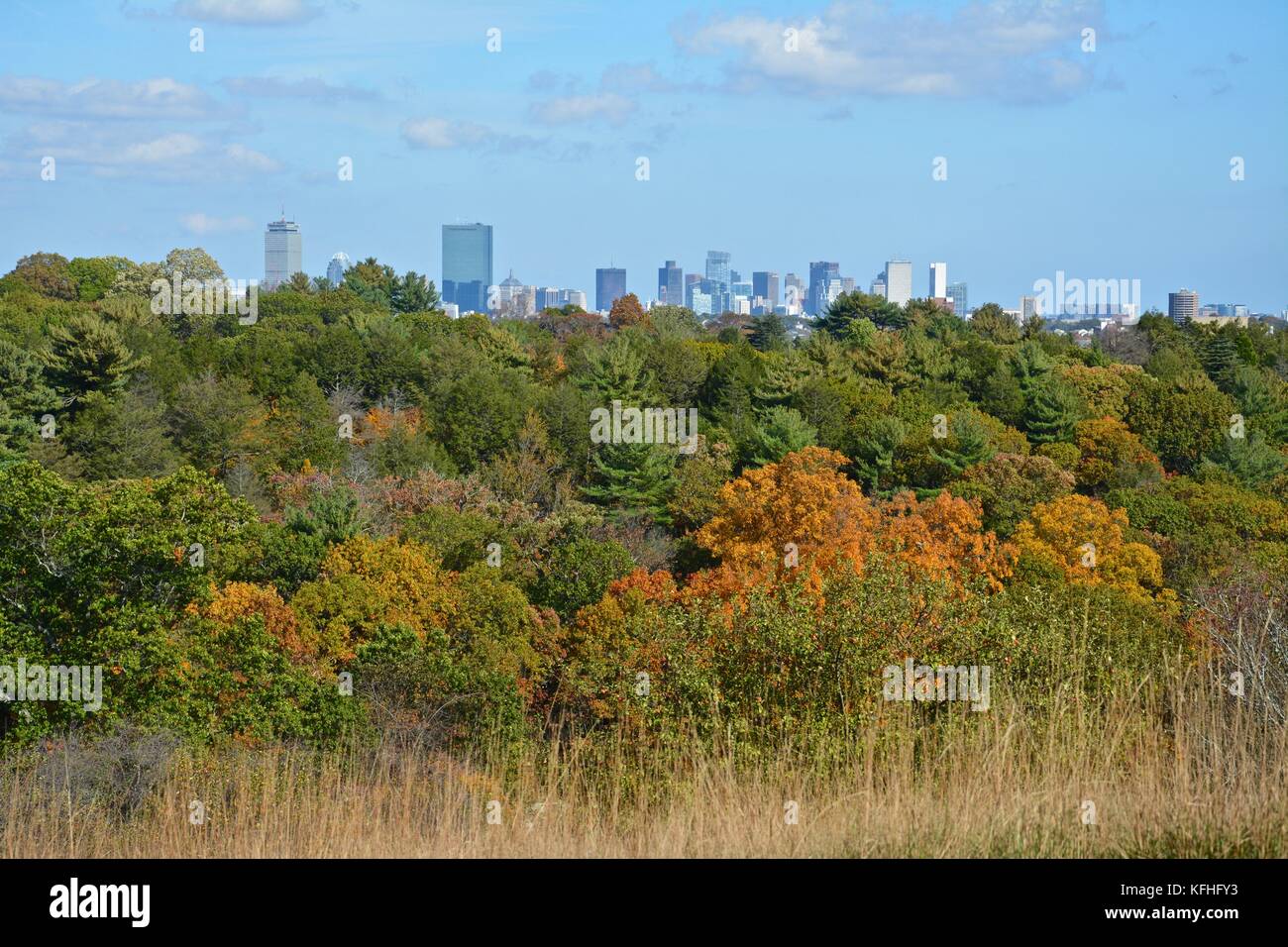 Fall Foliage and the Boston skyline seen from the Arnold Arboretum in ...
