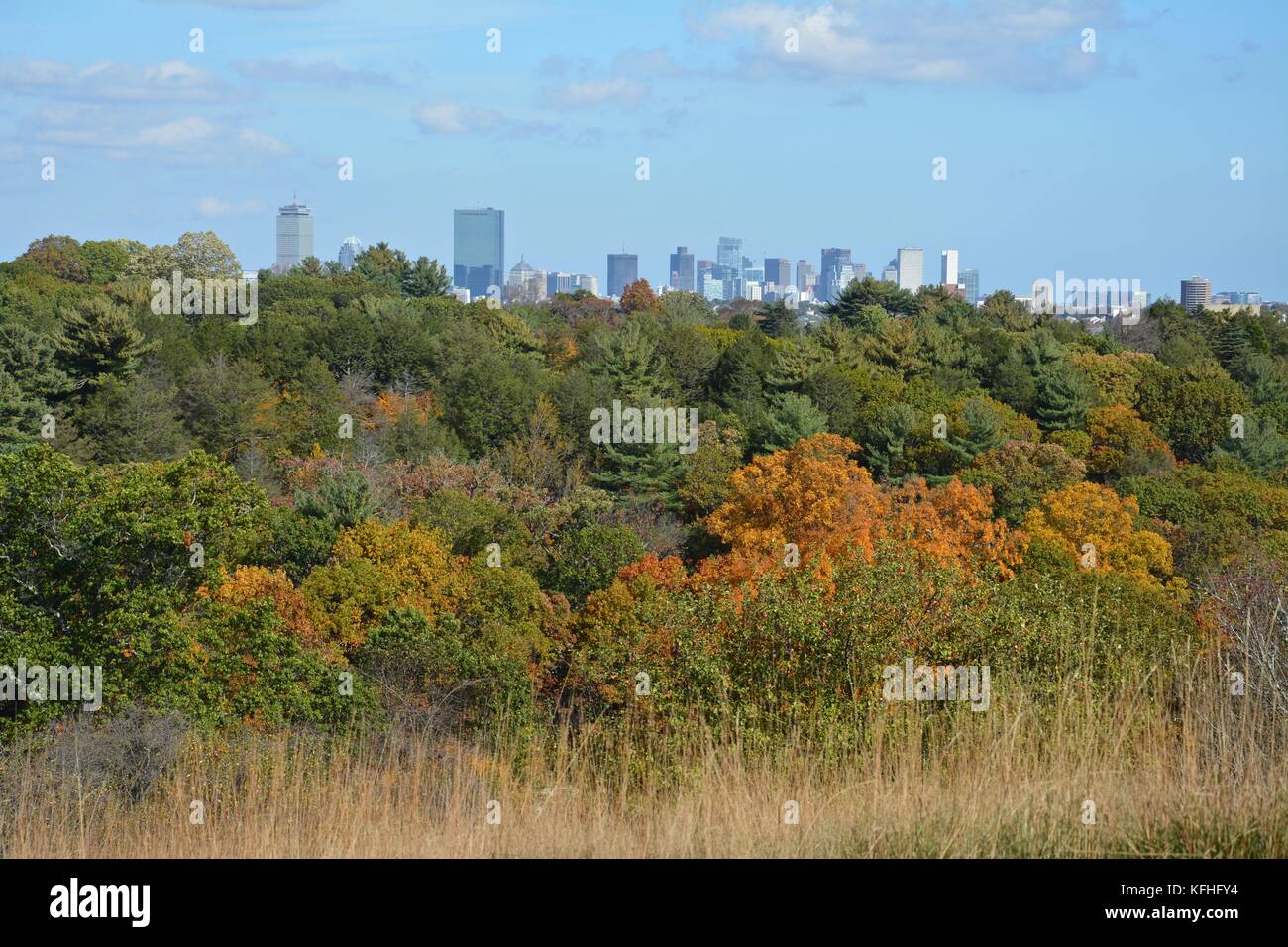 Fall Foliage and the Boston skyline seen from the Arnold Arboretum in ...