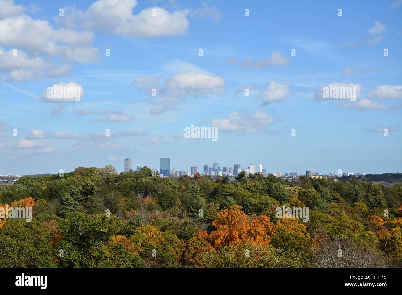 Fall Foliage and the Boston skyline seen from the Arnold Arboretum in ...
