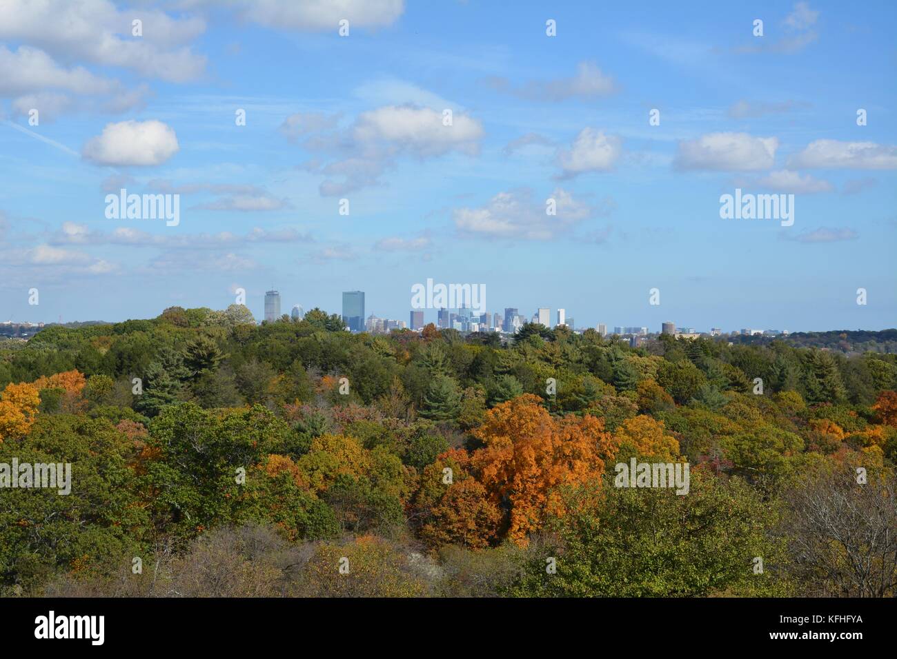 Fall Foliage and the Boston skyline seen from the Arnold Arboretum in ...