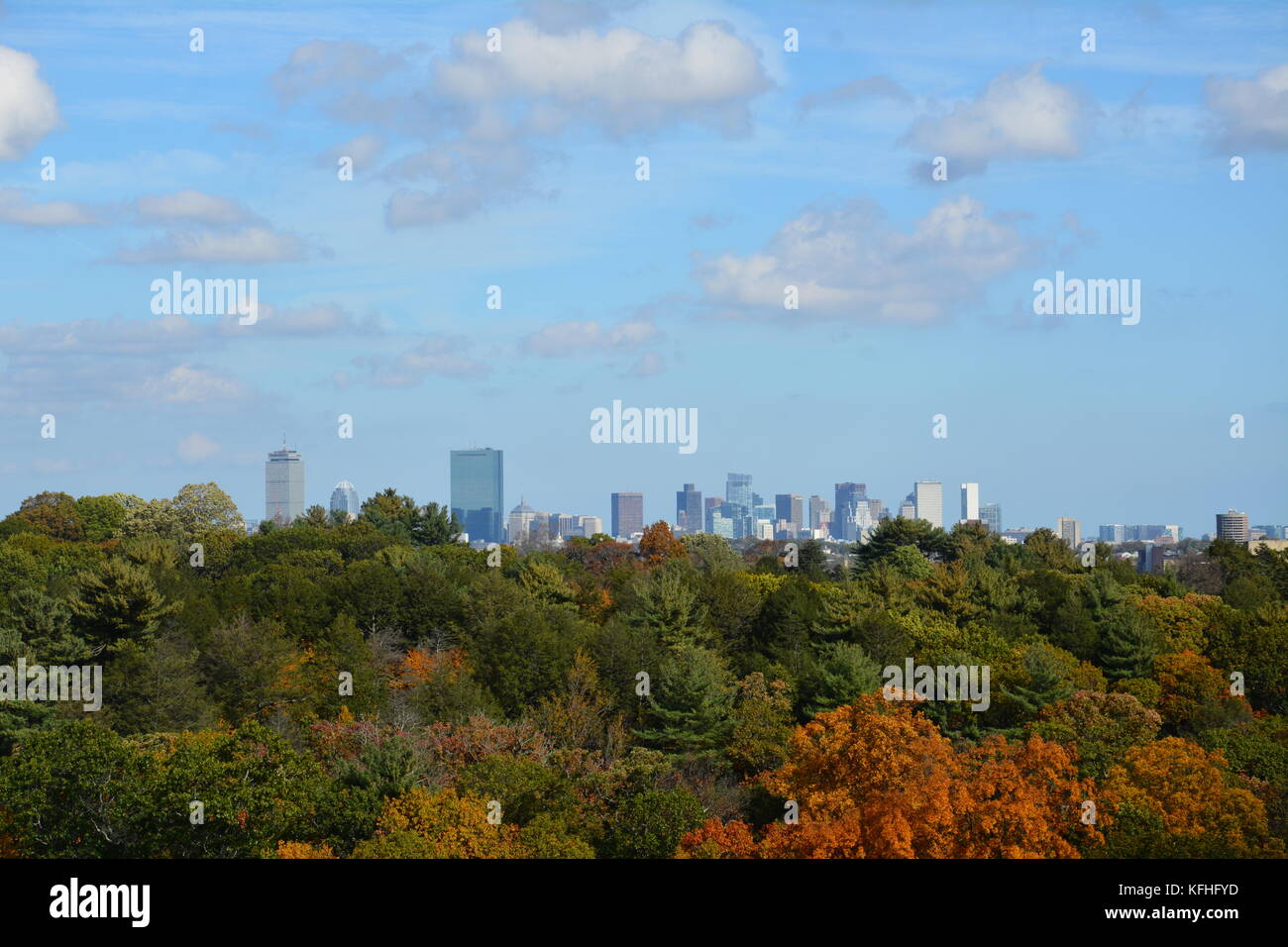 Fall Foliage and the Boston skyline seen from the Arnold Arboretum in ...