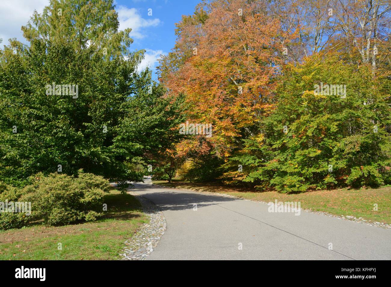Fall Foliage and the Boston skyline seen from the Arnold Arboretum in ...