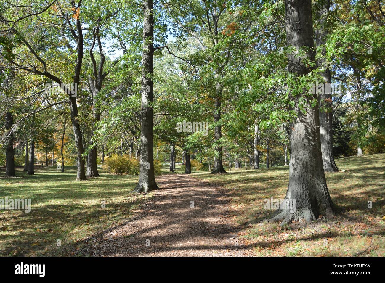 Fall Foliage and the Boston skyline seen from the Arnold Arboretum in ...