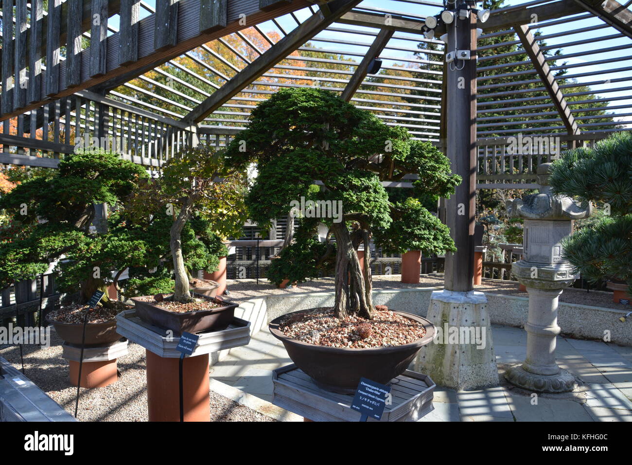 Sights around the Arnold Arboretum at Harvard University Stock Photo ...