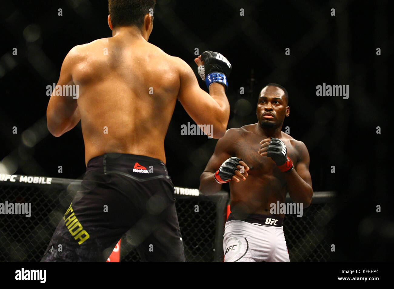 SÃO PAULO, SP - 29.10.2017: UFC FIGHT NIGHT - Fight between Derek ...