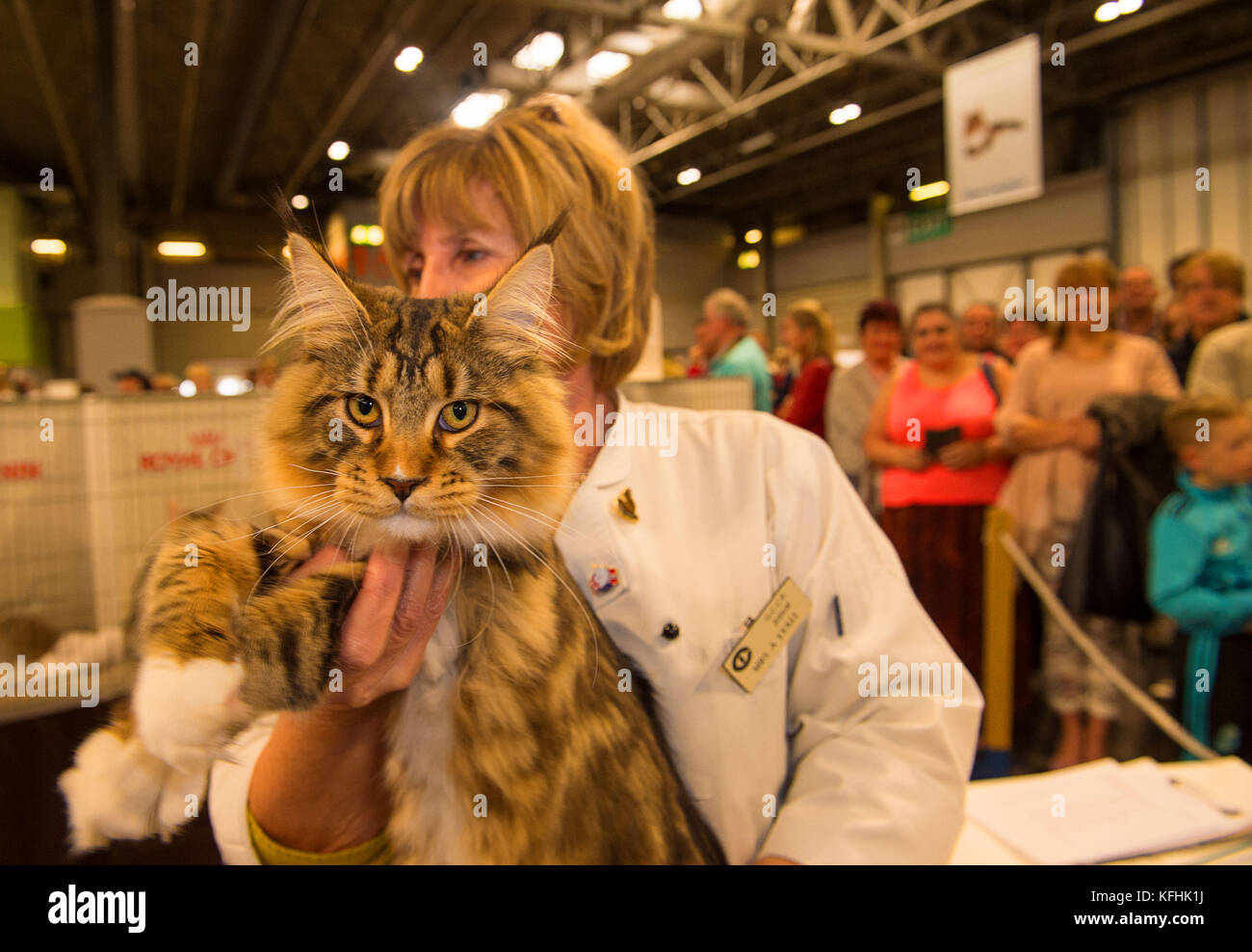 Birmingham, UK. 28th October, 2017. 45 different breeds of cats 661 ...