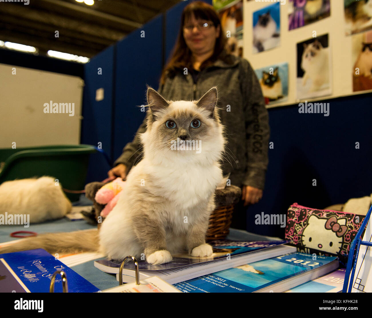 Birmingham, UK. 28th October, 2017. 45 different breeds of cats 661 ...
