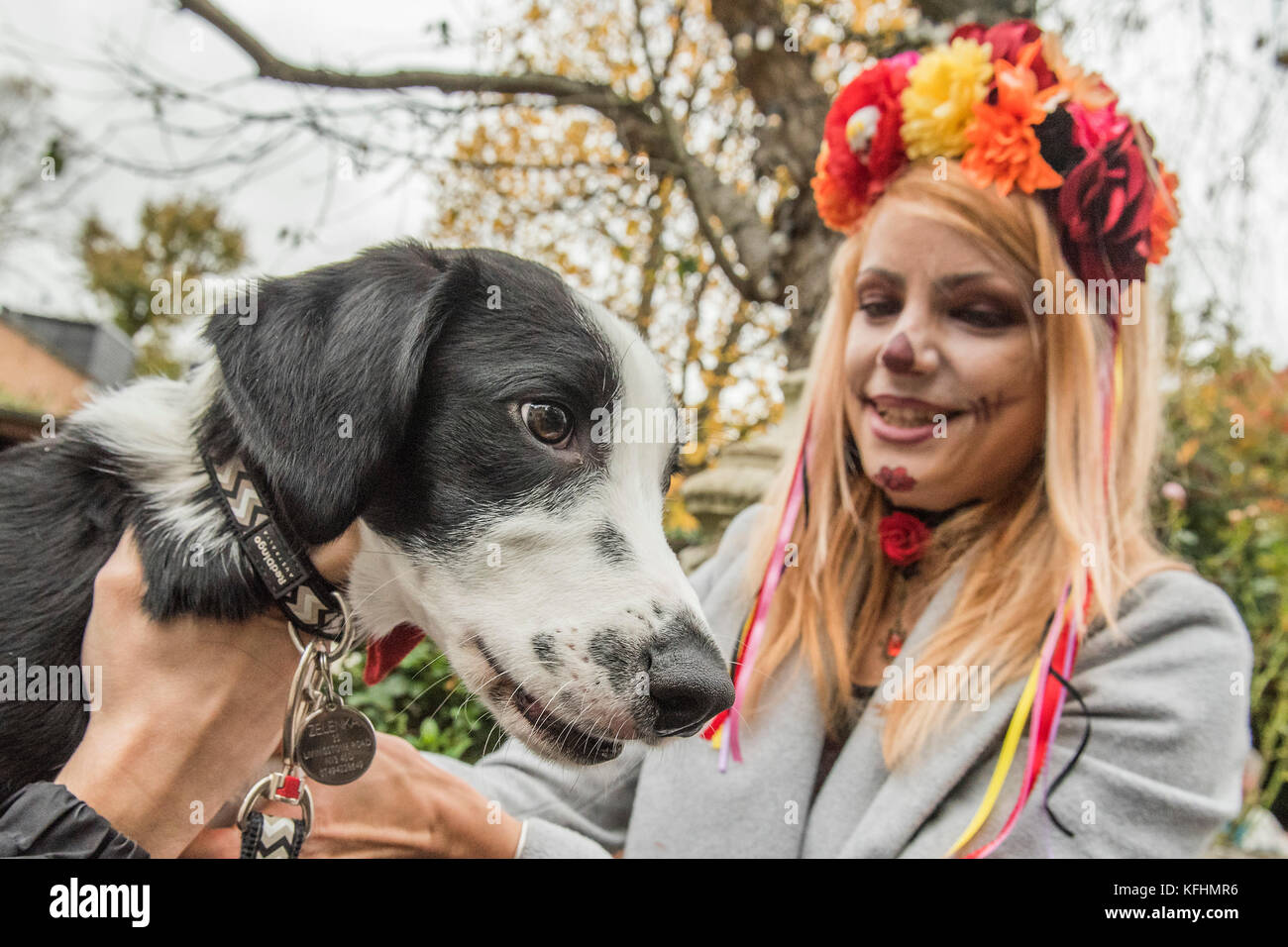 Hampstead Heath, London, UK. 29th Oct, 2017. Charlie a Border Collie ...