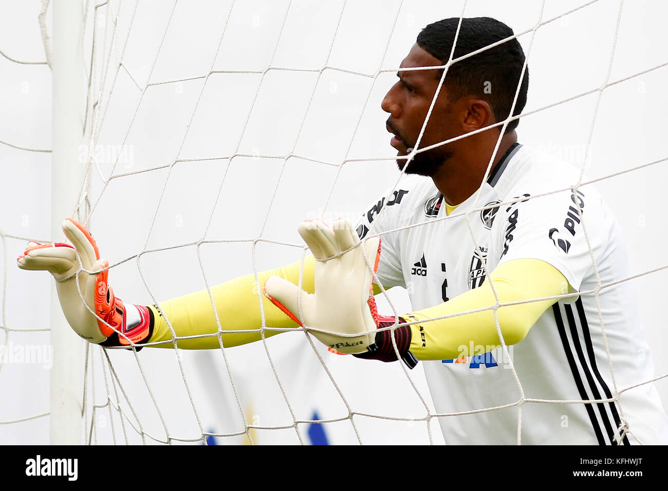 Campinas, Brazil. 29th Oct, 2017. Spider during the match between Ponte ...