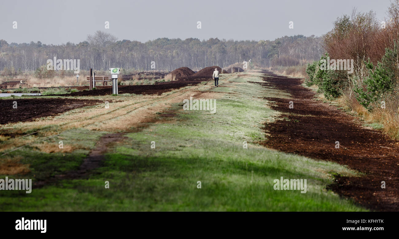 Quickborn, Germany. 19th Oct, 2017. The peat farming area in Quickborn ...