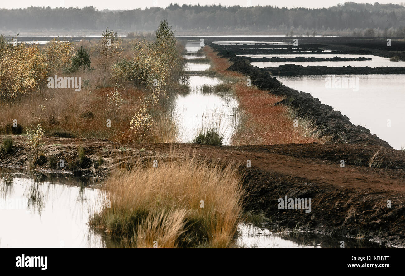 Quickborn, Germany. 19th Oct, 2017. The peat farming area in Quickborn ...