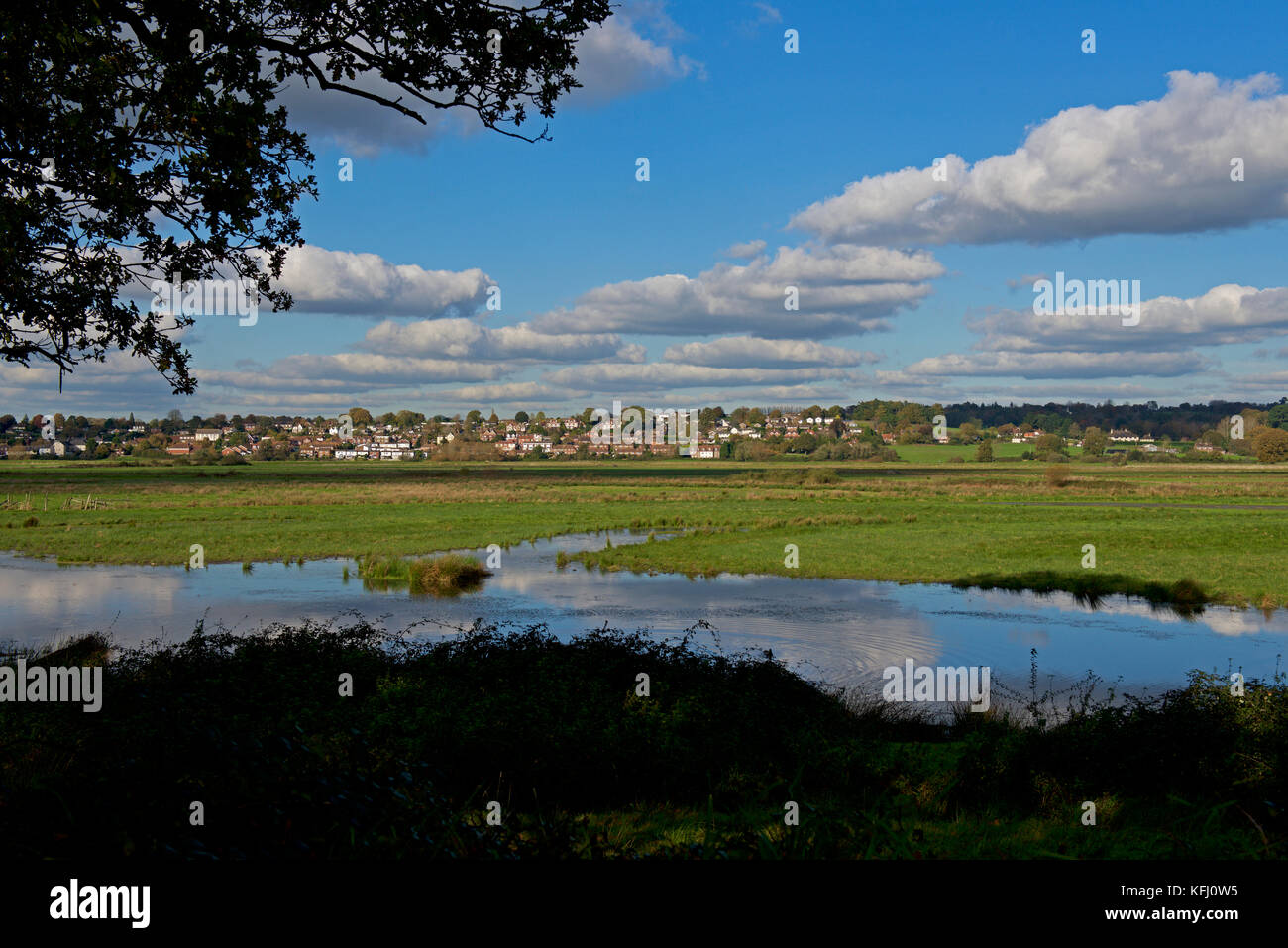 Pulborough Brooks, an RSPB nature reserve, West Sussex, England UK ...