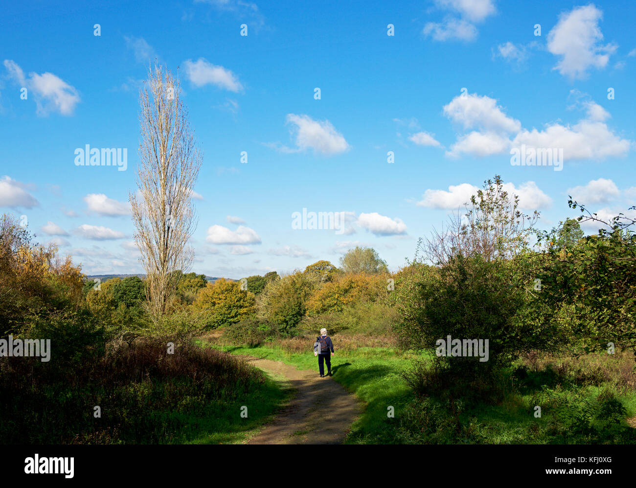 Pulborough Brooks, an RSPB nature reserve, West Sussex, England UK ...