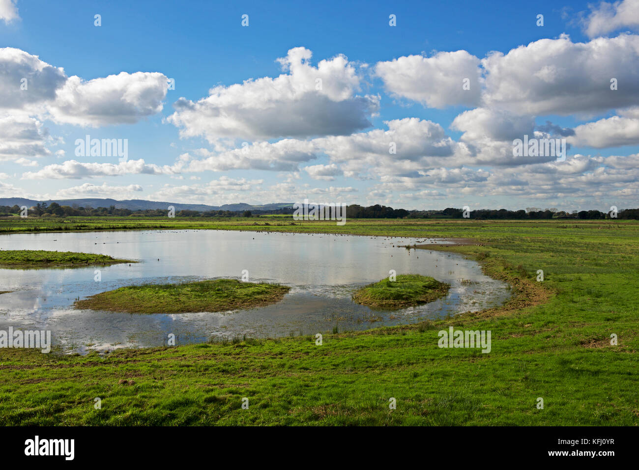 Pulborough brooks rspb nature reserve hi-res stock photography and ...