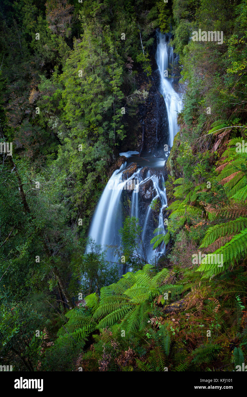 Philosopher Falls - Tasmania - Australia Stock Photo - Alamy