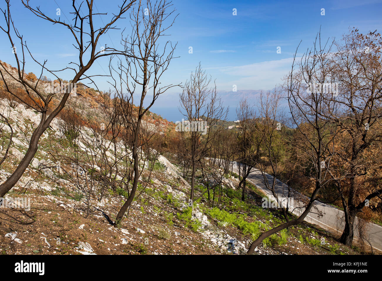 Talus Slopes High Resolution Stock Photography and Images - Alamy