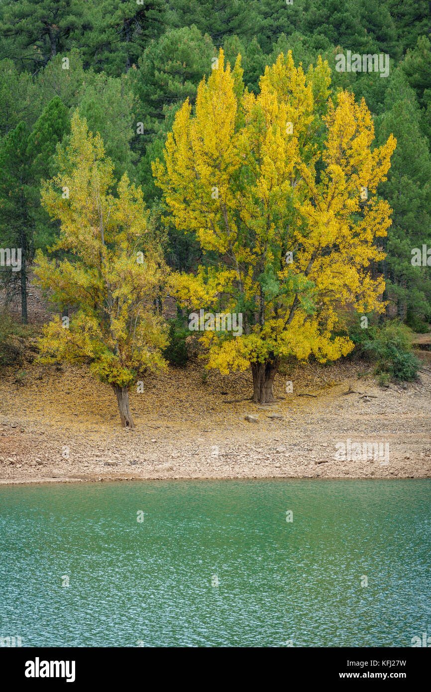 Yellow water dam hi-res stock photography and images - Alamy