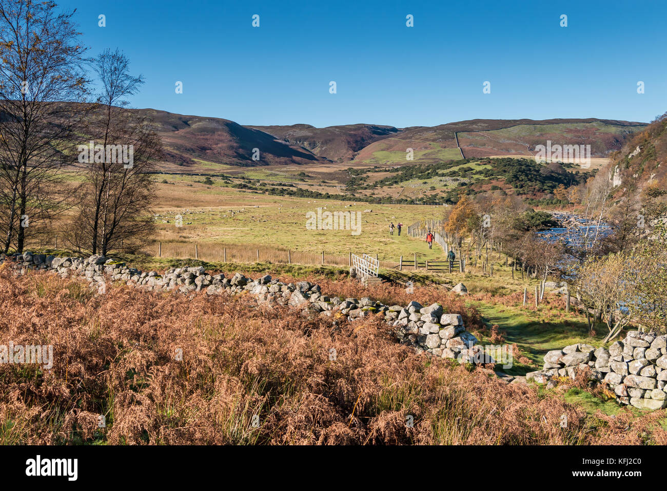 Teesdale landscape, the Pennine Way long distance footpath from Blea ...