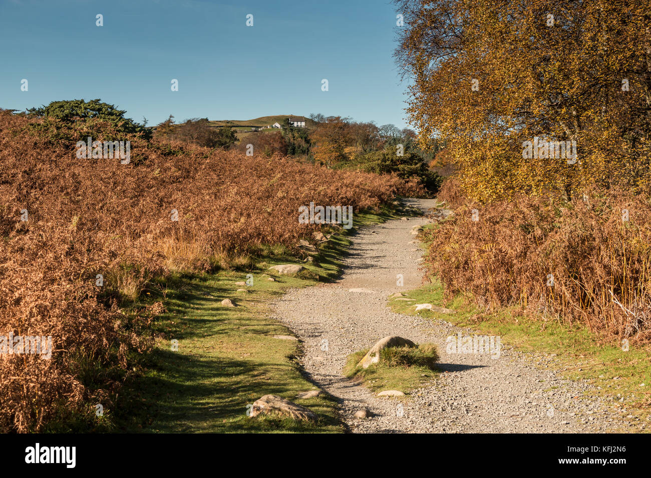 Teesdale landscape, the Pennine Way long distance footpath on the ...