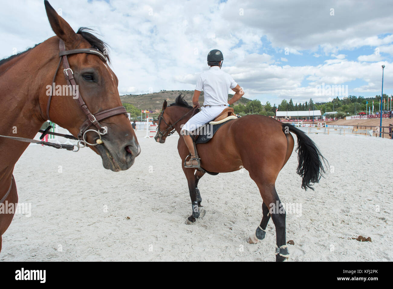 horse jumping competition Stock Photo - Alamy horse jumping competition Stock Photo - Alamy
