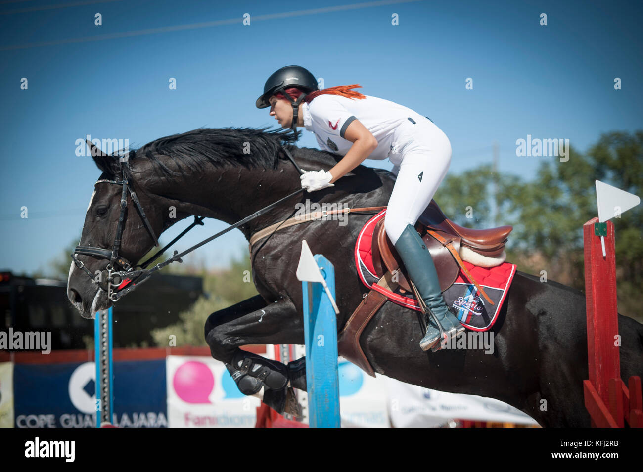 horse jumping competition Stock Photo - Alamy