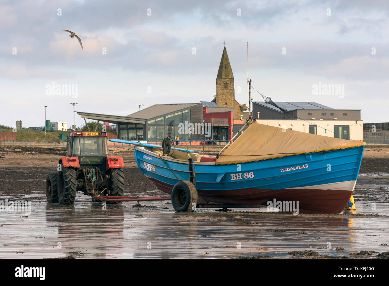 Tradditional Coble fishing boat being hauled out of the sea after a ...