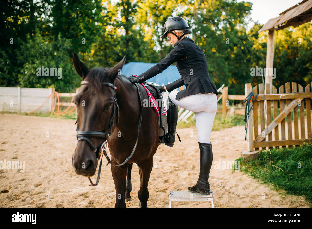 Female jockey and brown stallion, horseback riding. Equestrian sport ...