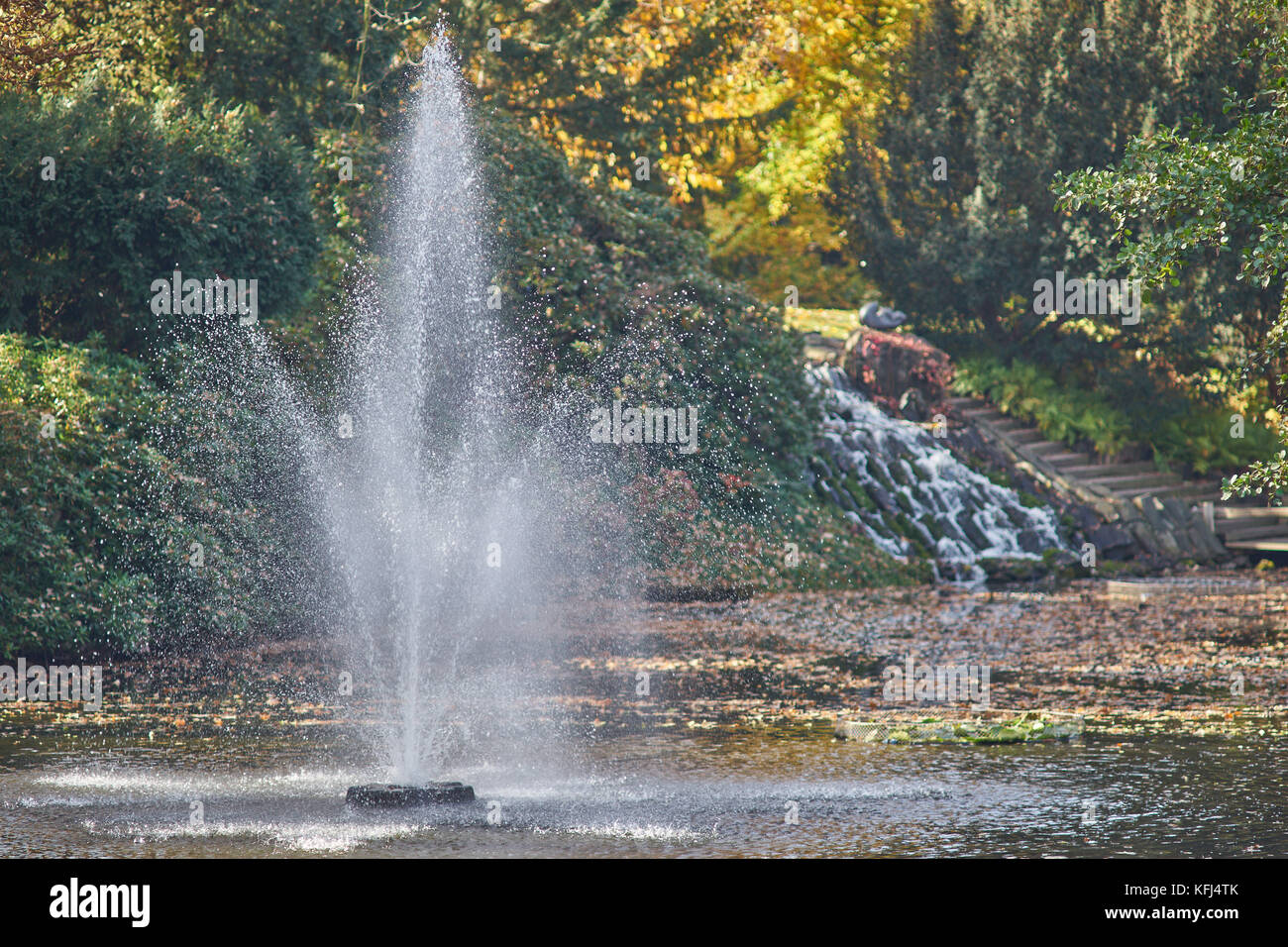 Fountain in the colorful autumn scenery Botanical Gardens Wroclaw Lower ...