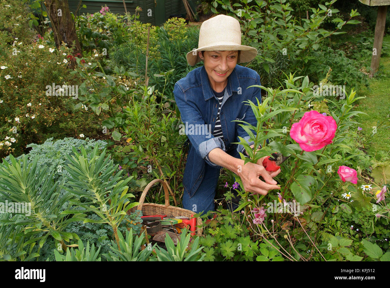 Caroline charles uk fashion designer hi-res stock photography and ...