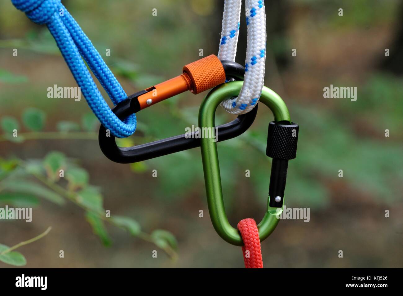 Carabiner with rope on nature background. Climbing uquipment.Climbing ...