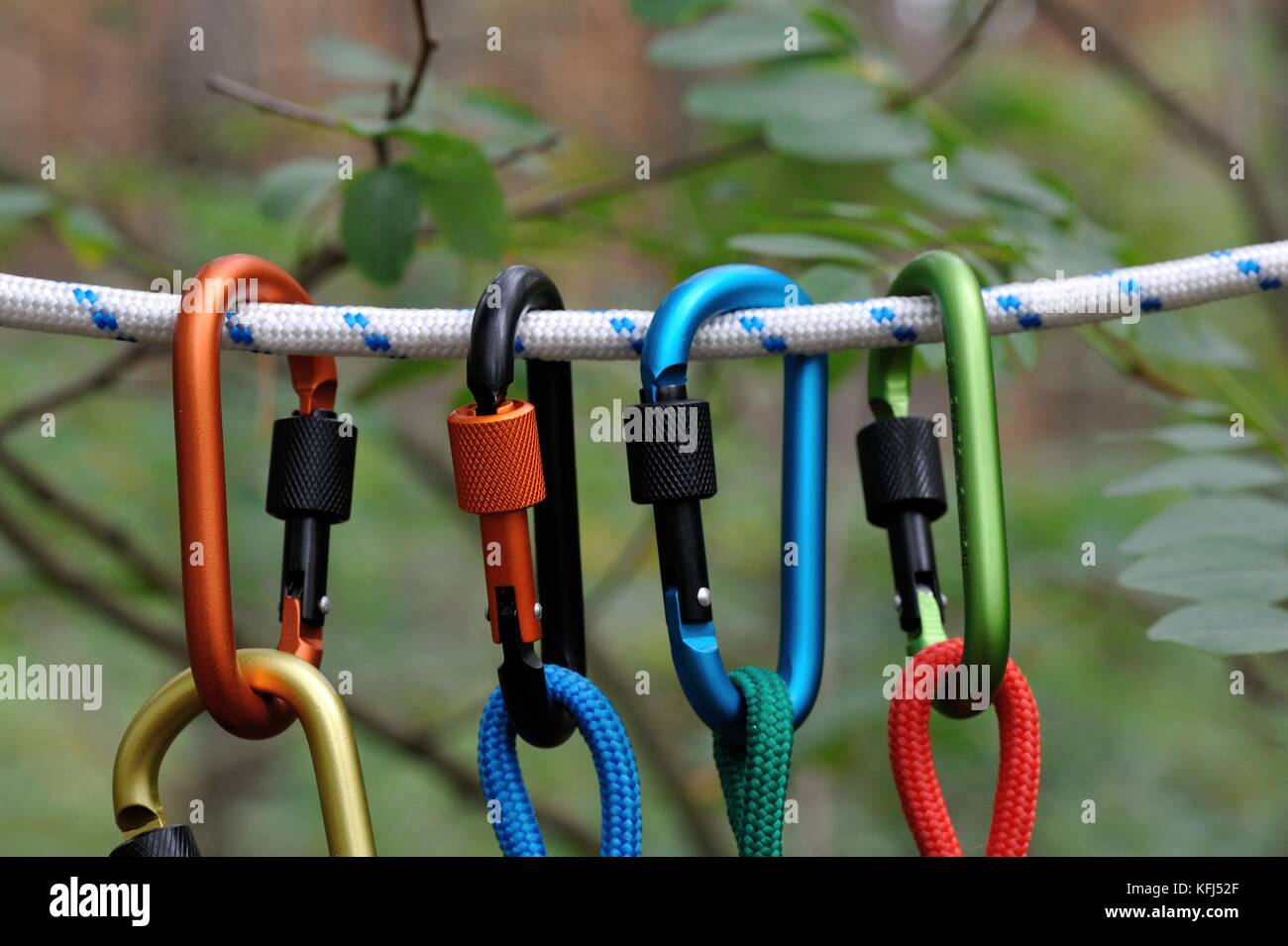 Carabiner with rope on nature background. Climbing uquipment.Climbing ...