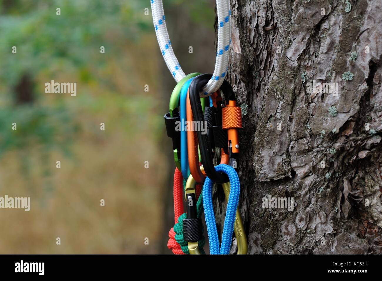 Carabiner with rope on nature background. Climbing uquipment.Climbing ...