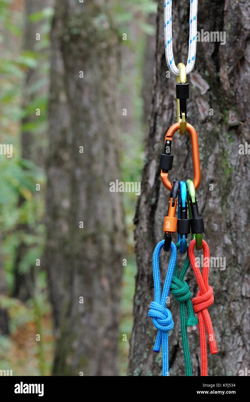 Carabiner with rope on nature background. Climbing uquipment.Climbing ...