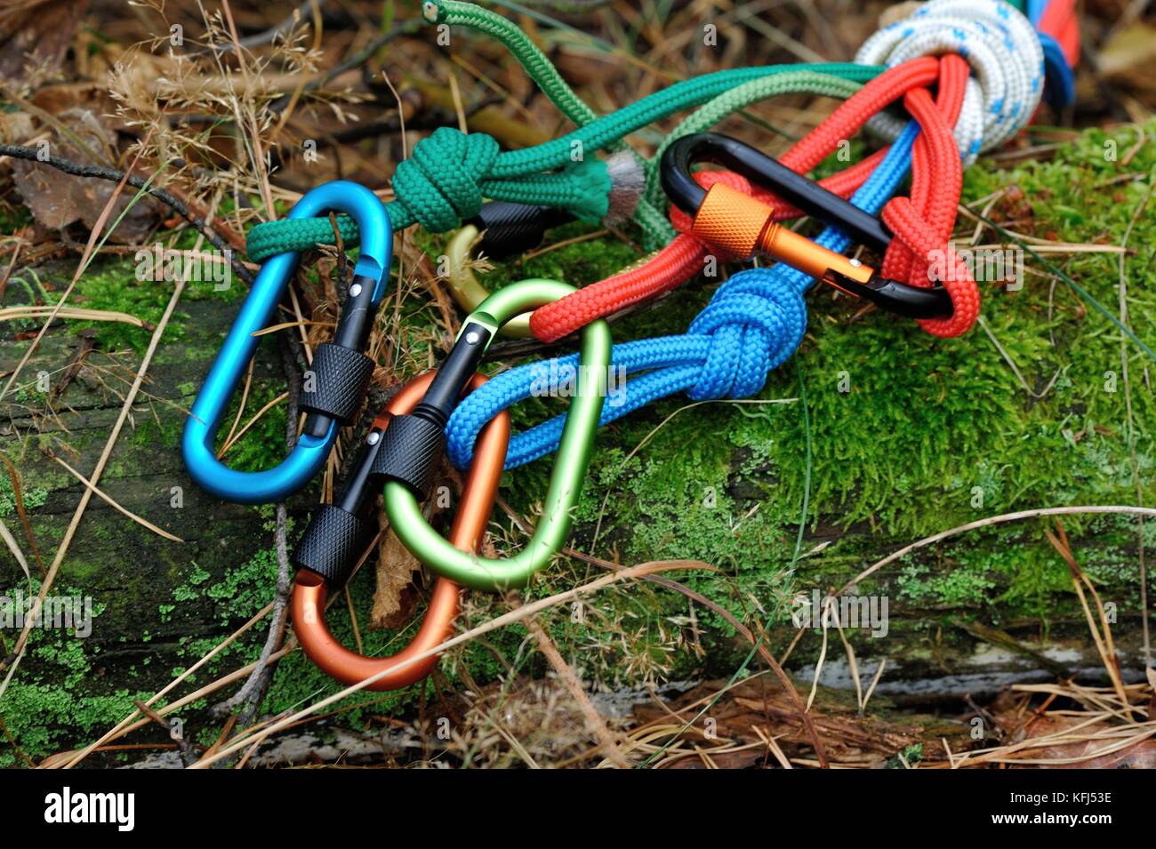 Carabiner with rope on nature background. Climbing uquipment.Climbing ...