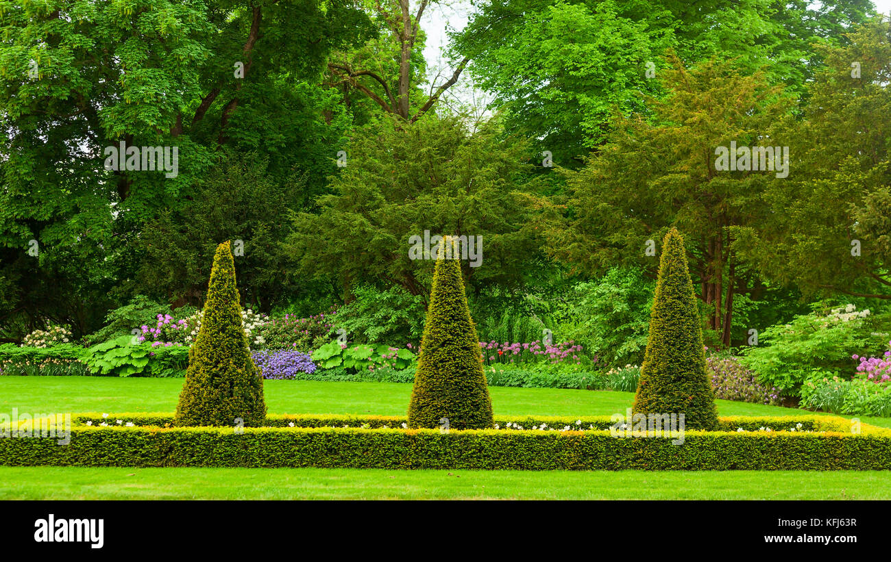 beautiful slottsparken trees view in the city of oslo Stock Photo - Alamy