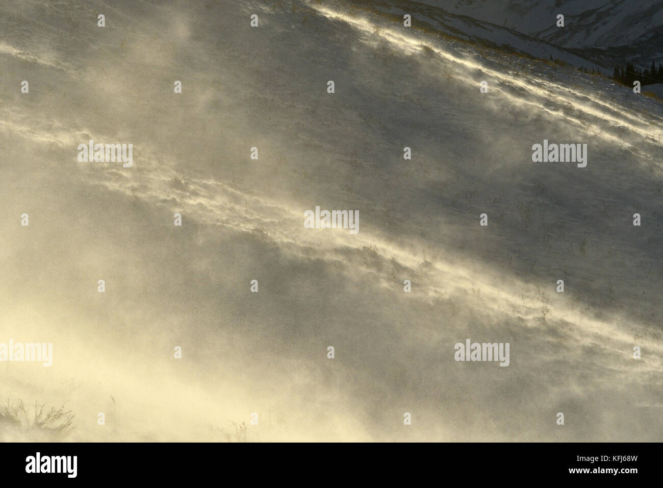 Strong wind blowing snow on hi-res stock photography and images - Alamy