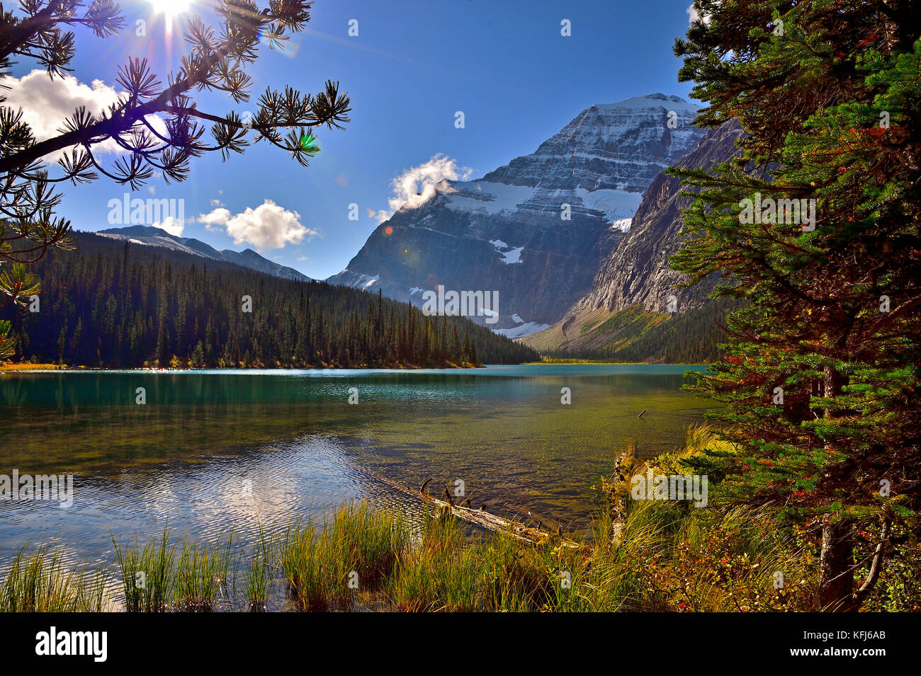 A fall landscape image of Cavell Lake with Mount Edith Cavell in the ...