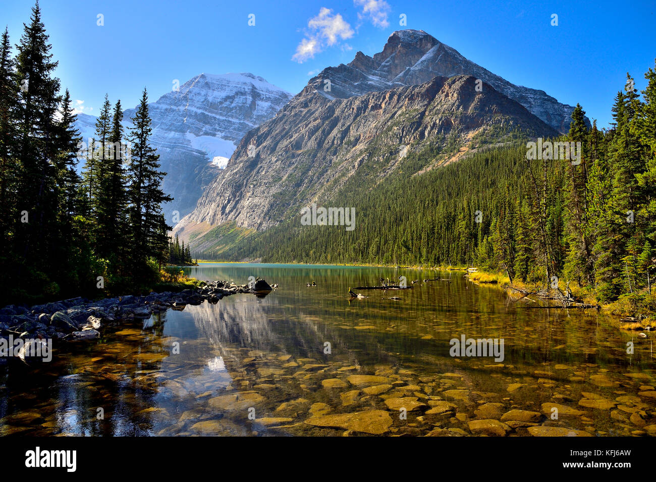 An autumn landscape image of Cavell Lake with Mount Edith Cavell in the ...