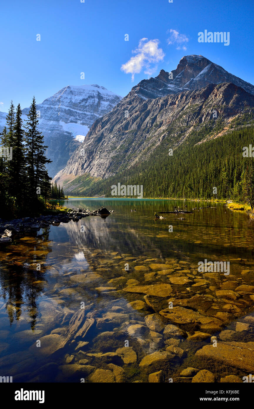 A vertical landscape image of Cavell Lake with Mount Edith Cavell in ...