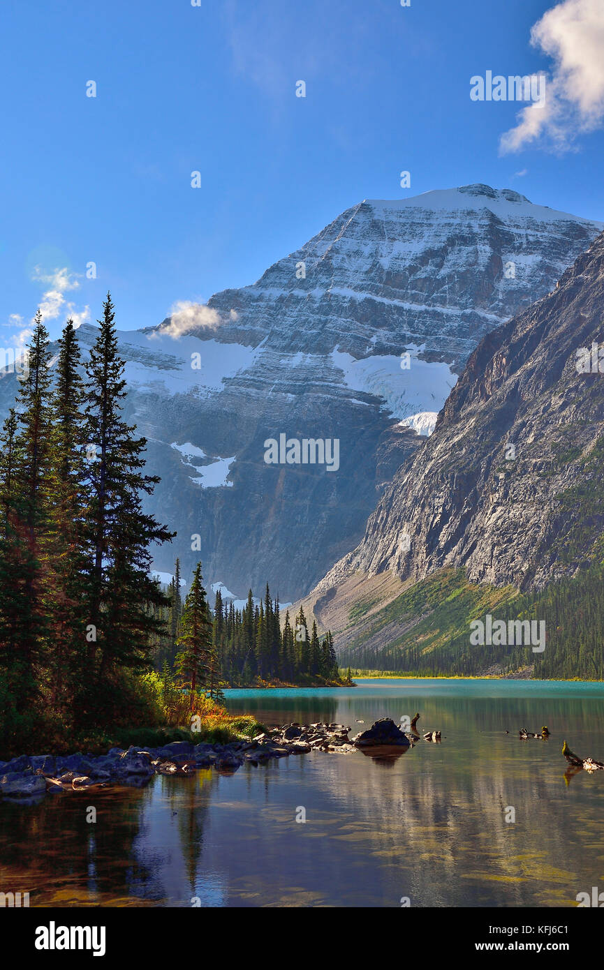 A vertical landscape image of Cavell Lake with Mount Edith Cavell in ...