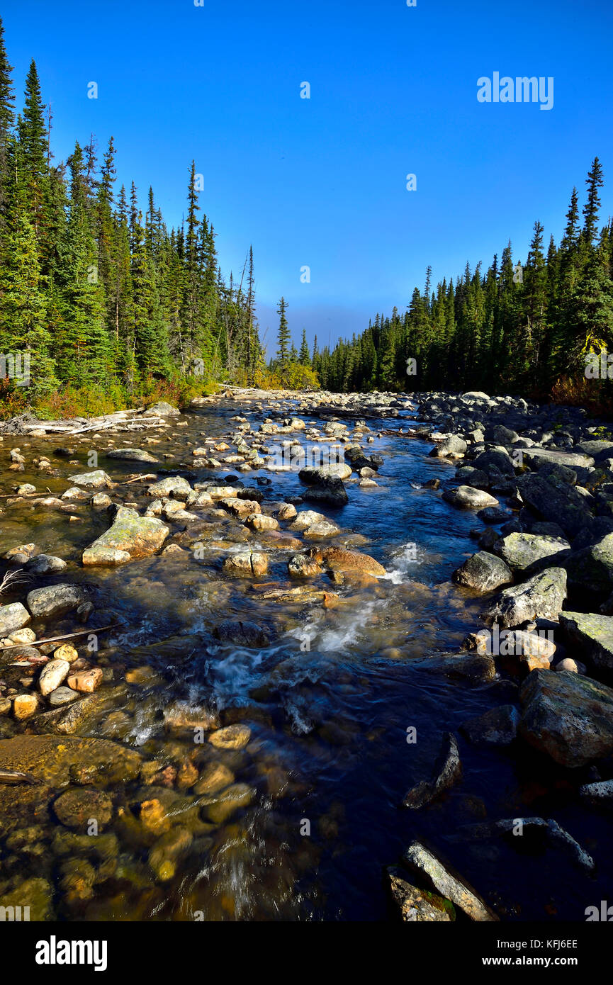 A slow moving stream flowing downhill from Cavell Lake into the Astoria ...