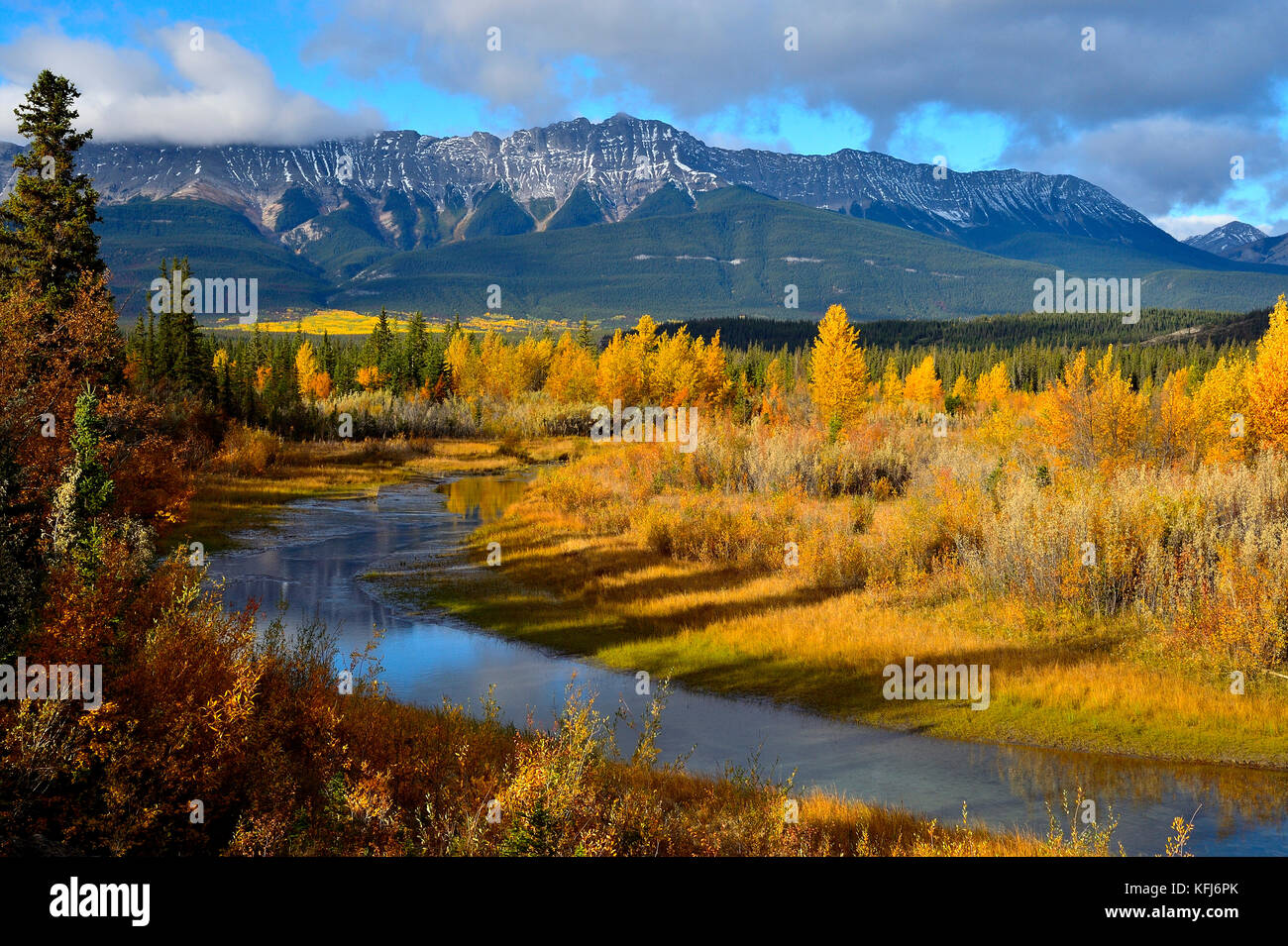 A landscape image of the colorful leaves turning bright colors of ...