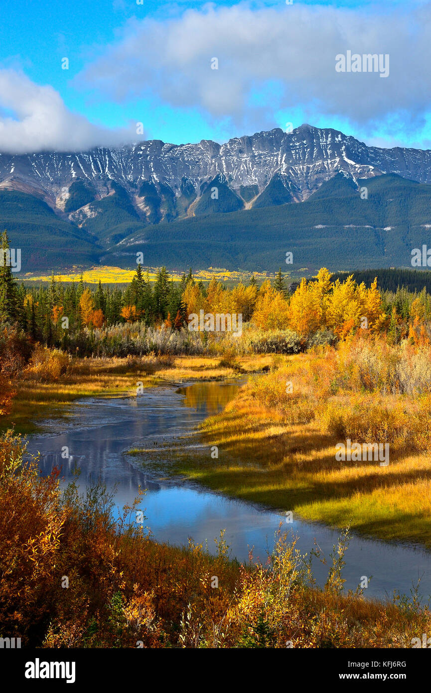 A fall landscape image of the colorful leaves turning colors with a ...