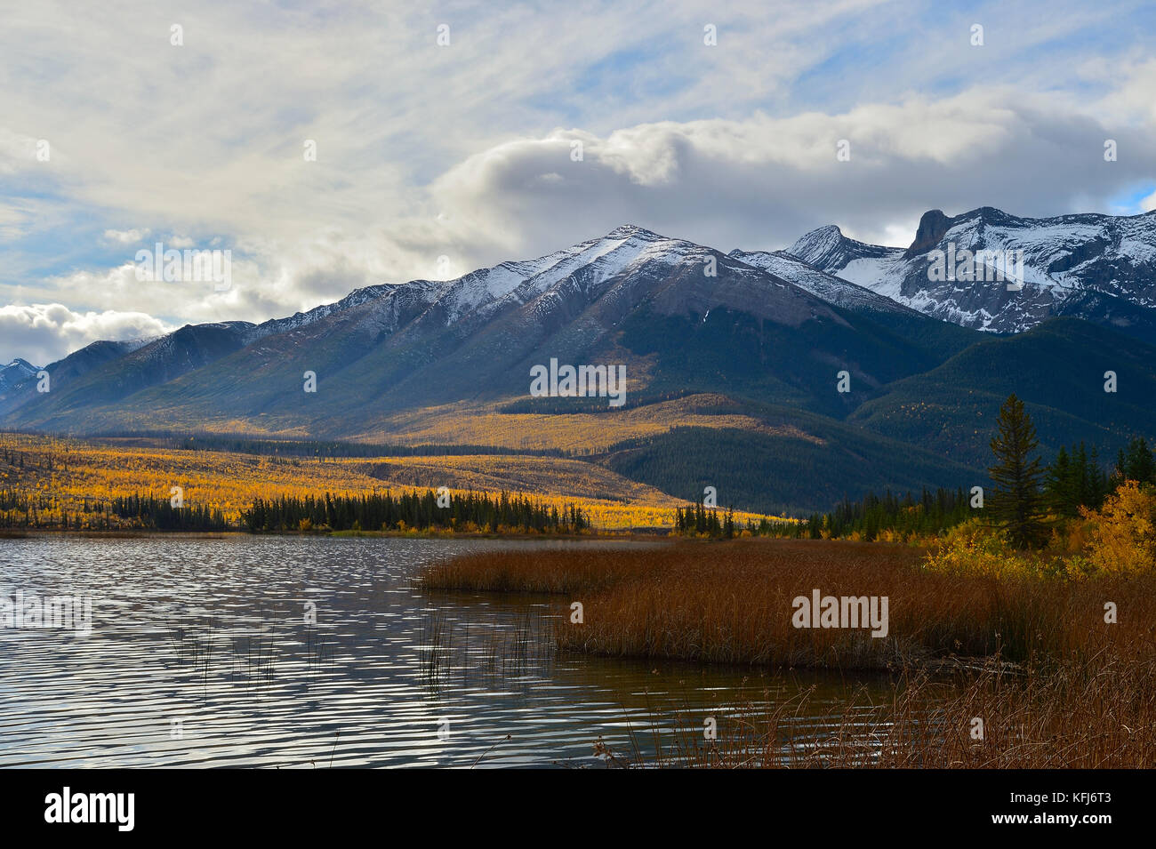 A landscape fall image of a corner of Talbot lake in Jasper National ...