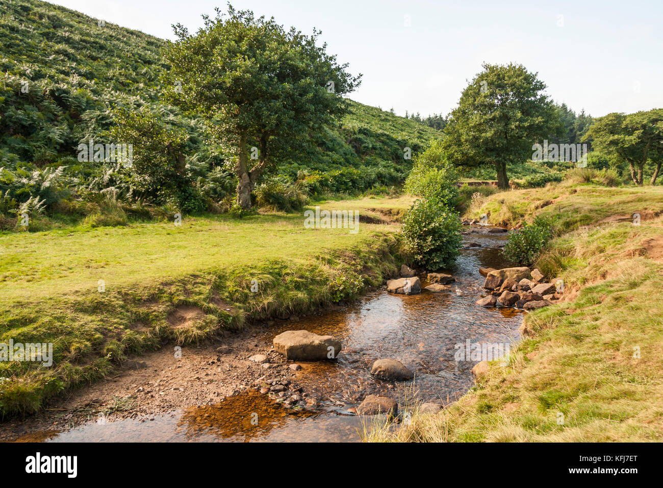 Sheepwash hi-res stock photography and images - Alamy