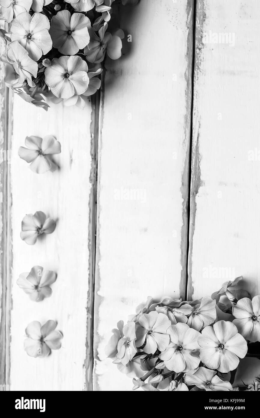 Small red table Black and White Stock Photos & Images - Alamy