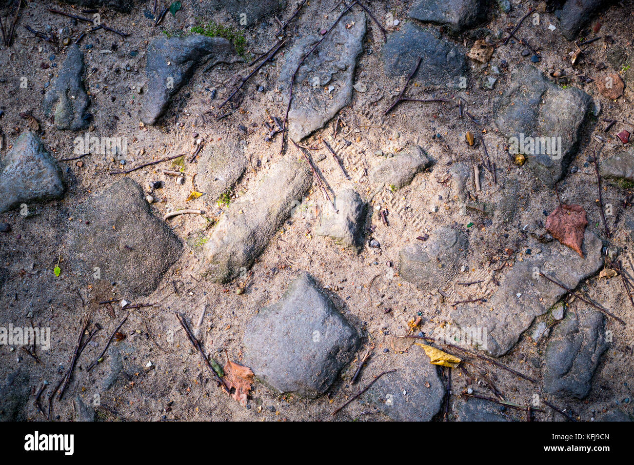 Ground texture hi-res stock photography and images - Alamy